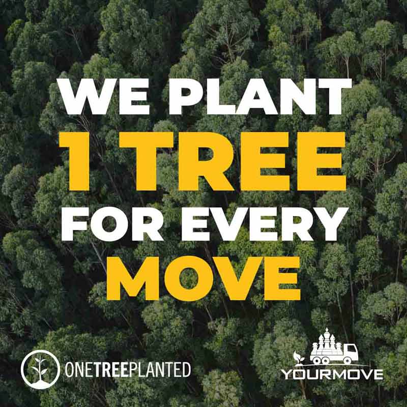 One Tree Planted | We Plant One Tree for Every Move | YourMove Ottawa